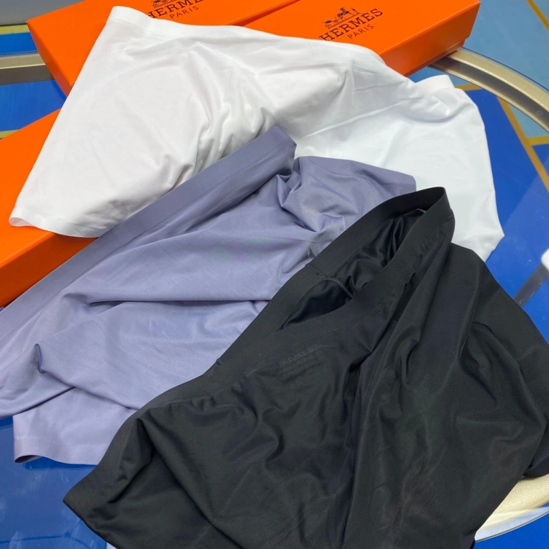 Top match Hermes Underwear