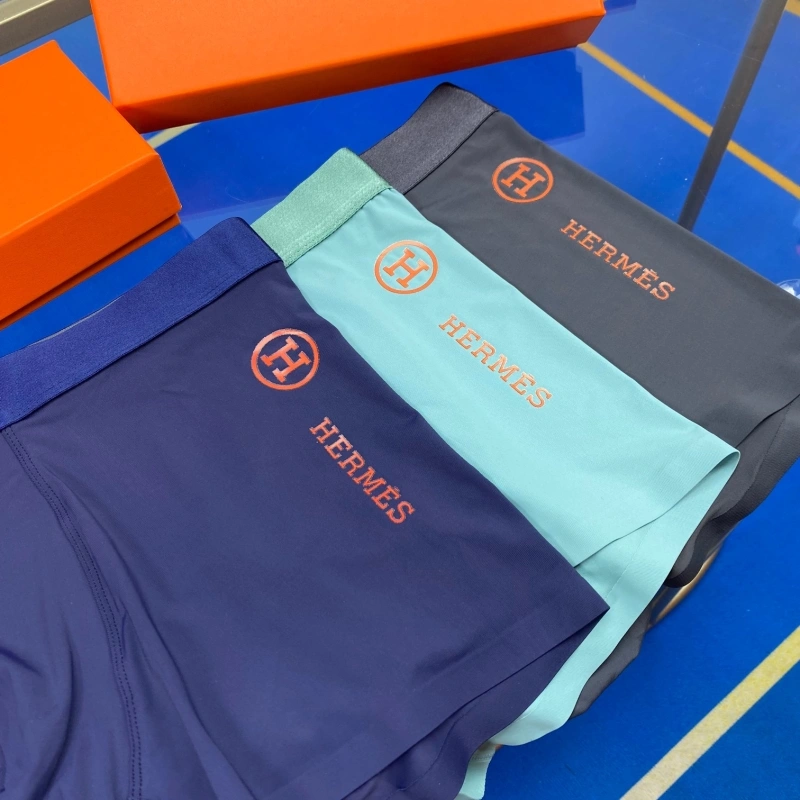 1:1 copy Hermes Underwear