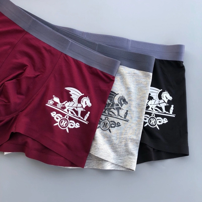 Hermes Underwear