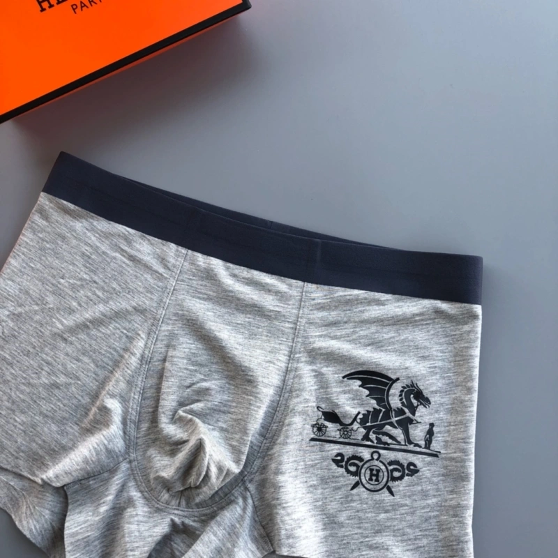 High accuracy Hermes Underwear