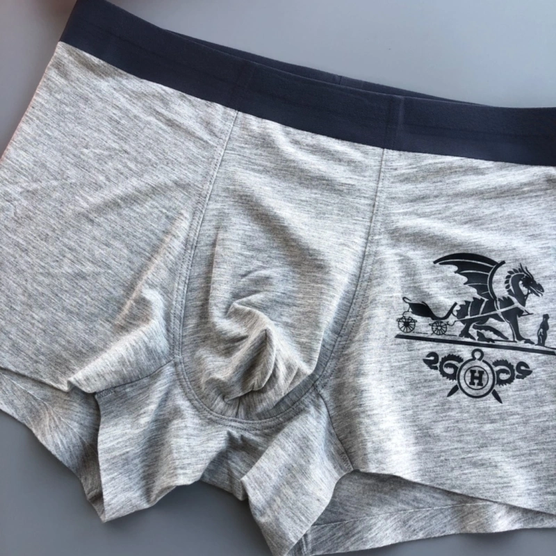 High accuracy Hermes Underwear