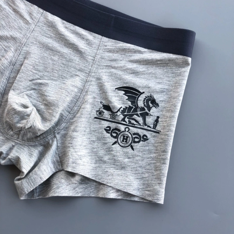 High accuracy Hermes Underwear