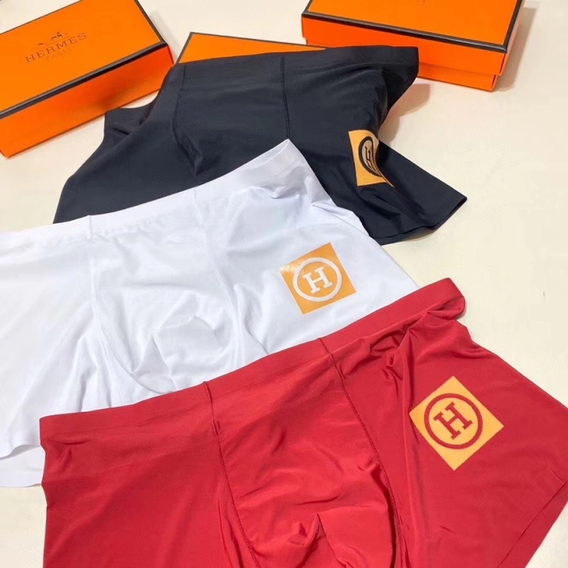 Exact replica Hermes Underwear