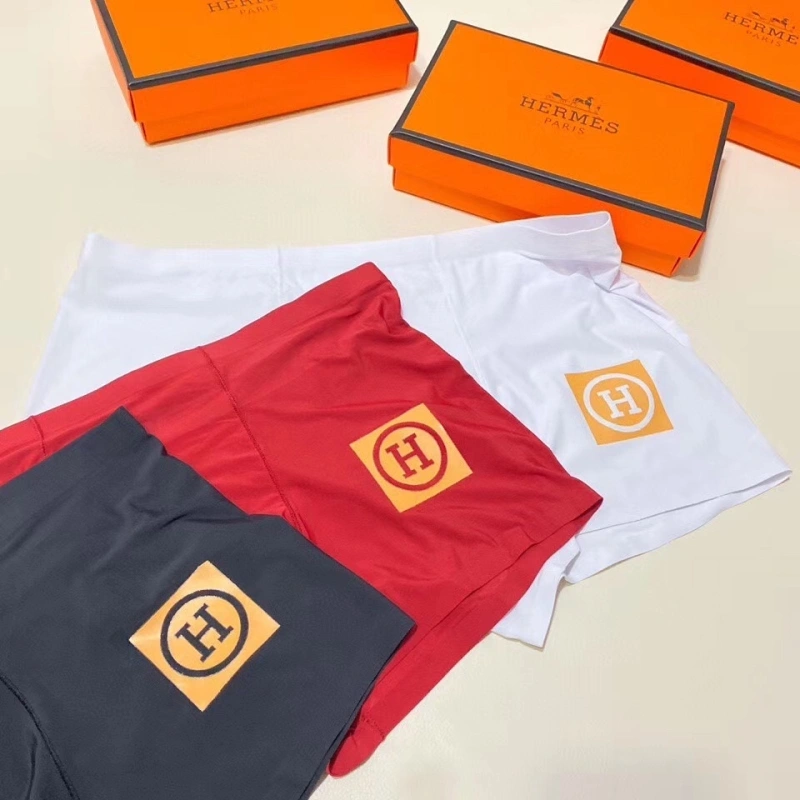 Exact replica Hermes Underwear