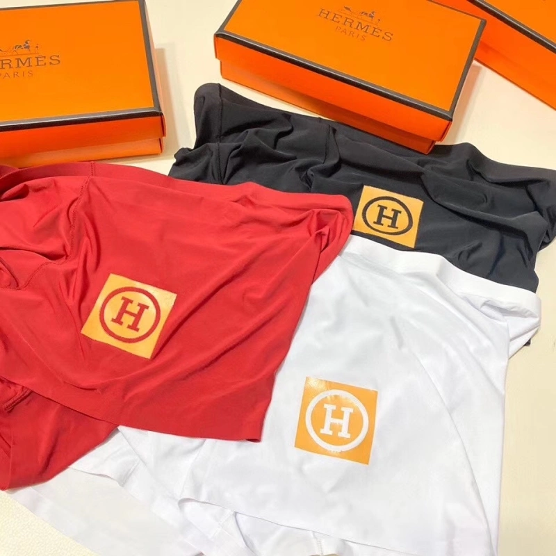 Exact replica Hermes Underwear