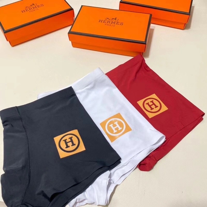 Exact replica Hermes Underwear