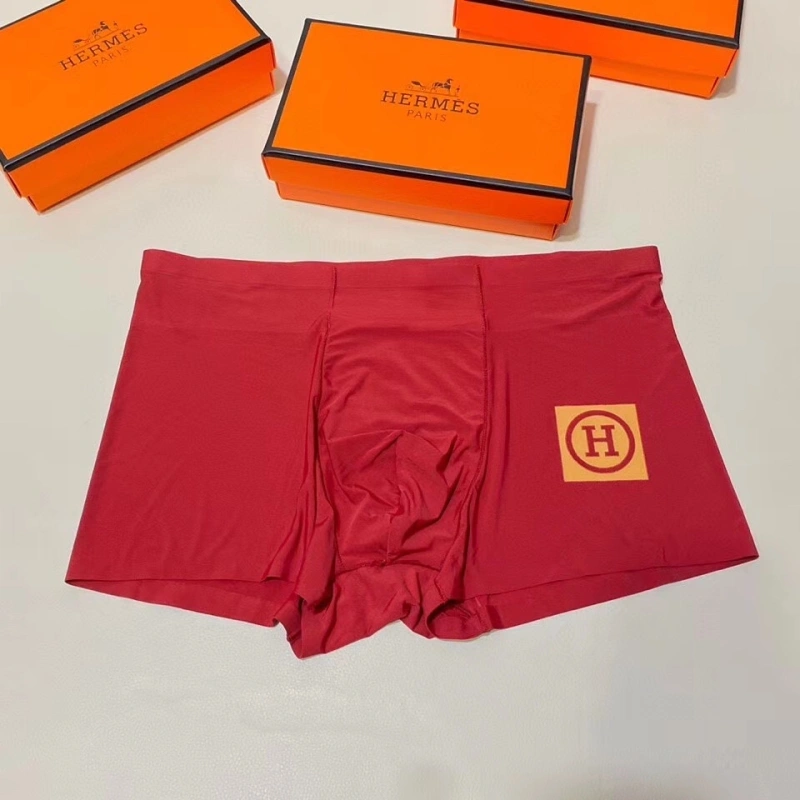 Exact replica Hermes Underwear