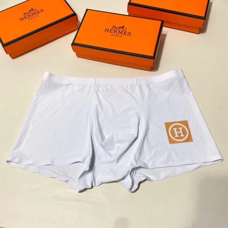 Exact replica Hermes Underwear