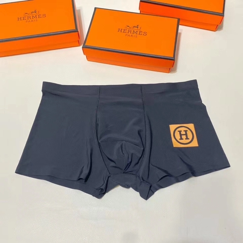 Exact replica Hermes Underwear