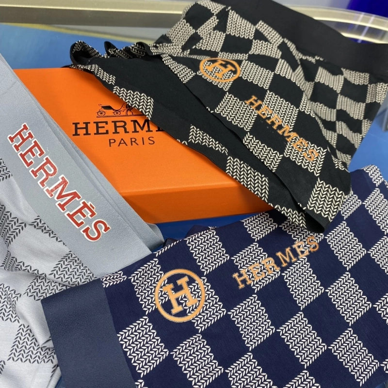 Accurate model Hermes Underwear