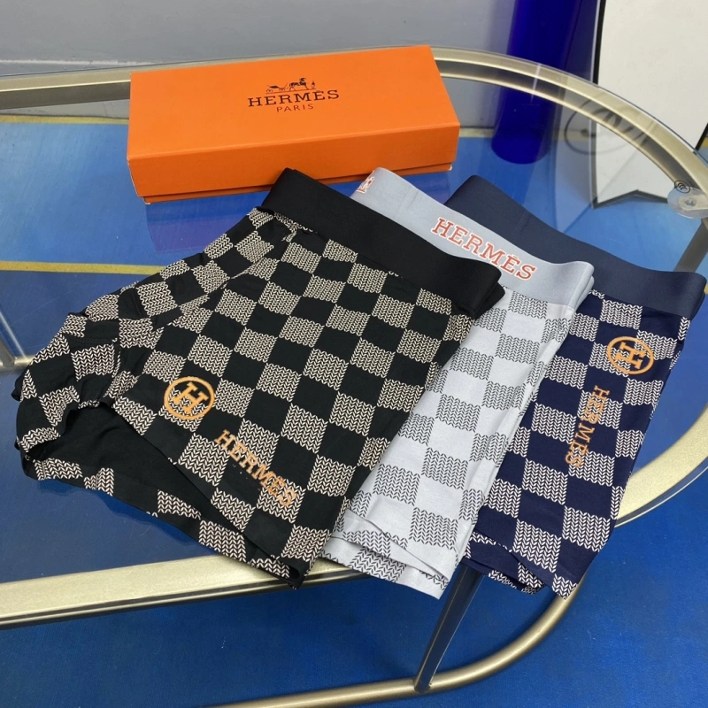 Accurate model Hermes Underwear