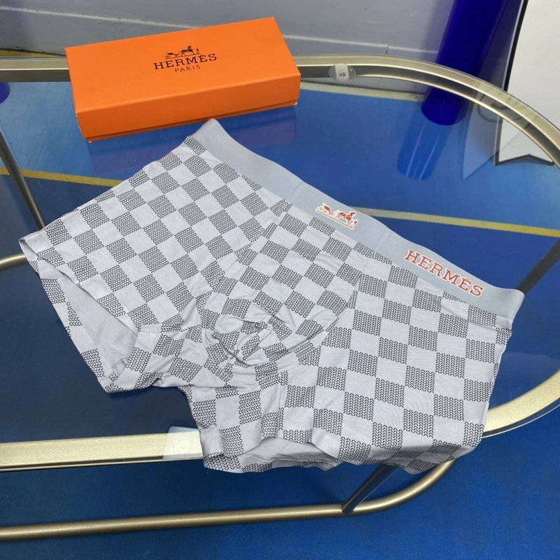 Accurate model Hermes Underwear