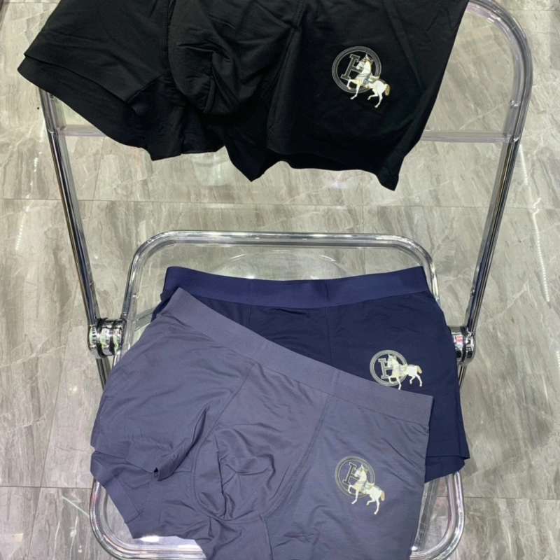 Hermes Underwear