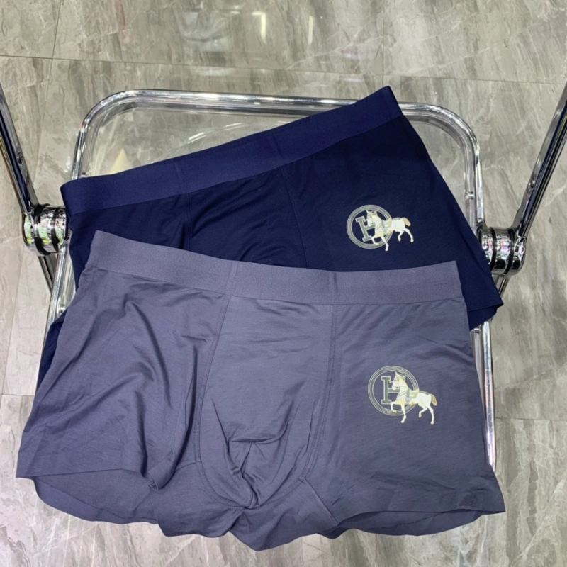 1:1 copy Hermes Underwear