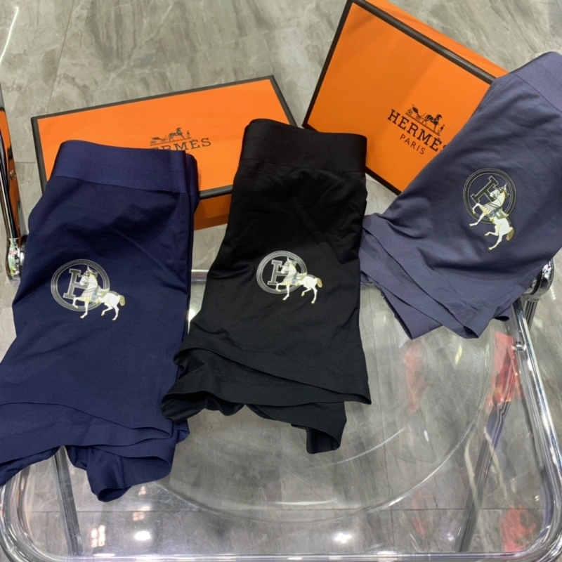 1:1 copy Hermes Underwear