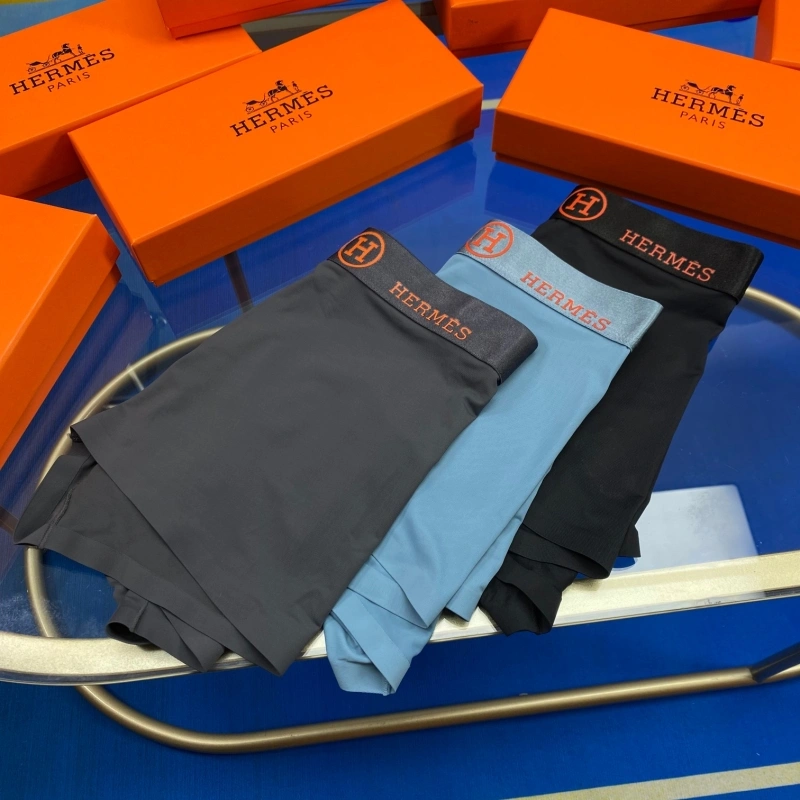 Exact replica Hermes Underwear