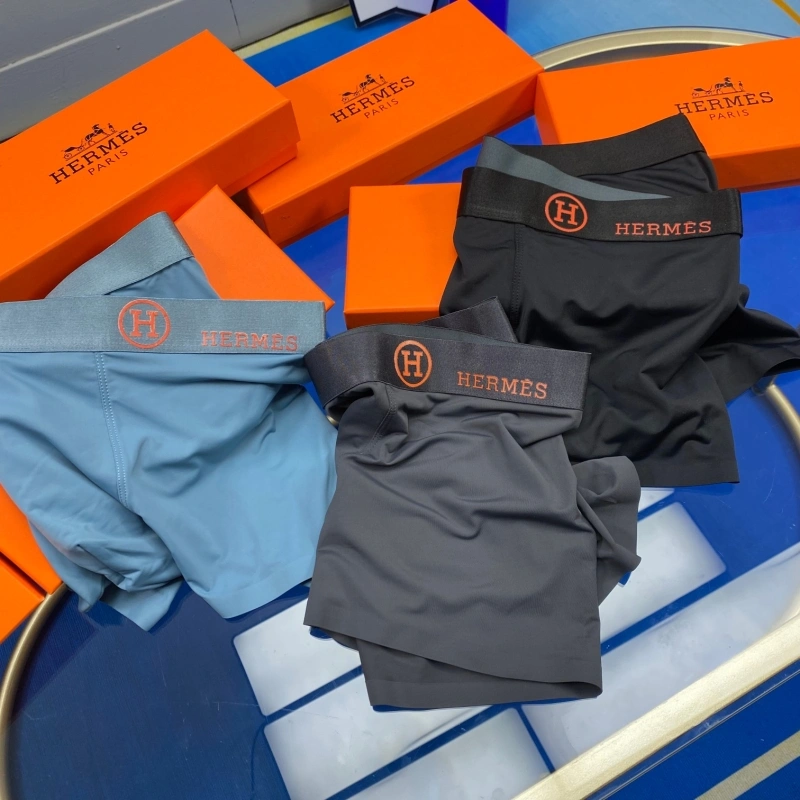 Exact replica Hermes Underwear