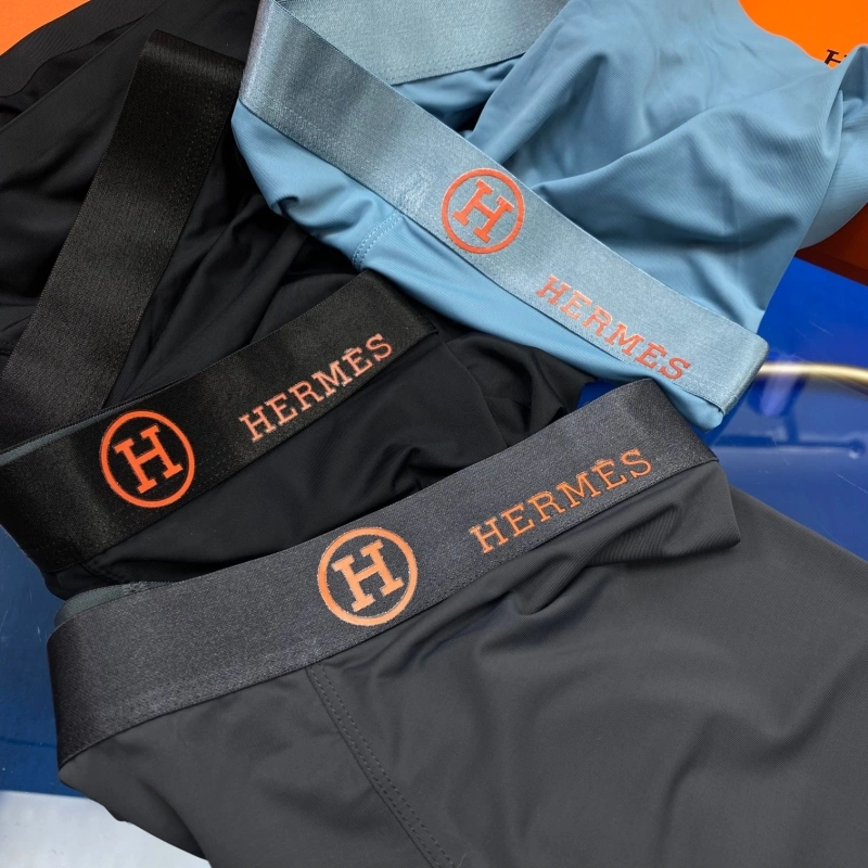 Exact replica Hermes Underwear