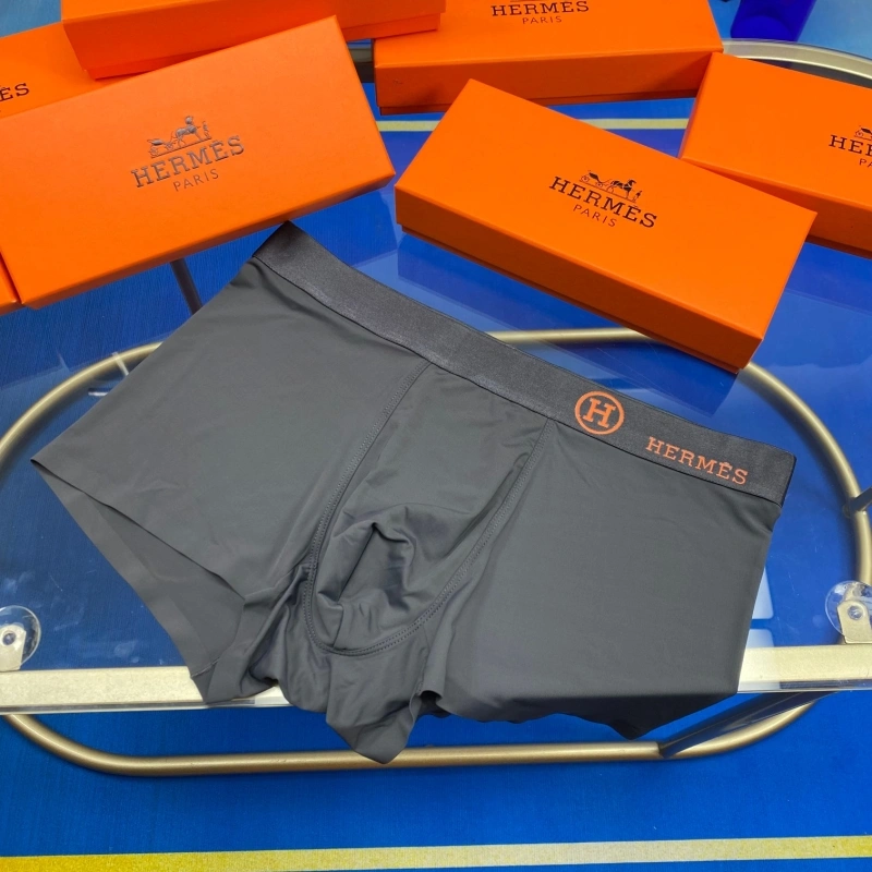 Exact replica Hermes Underwear