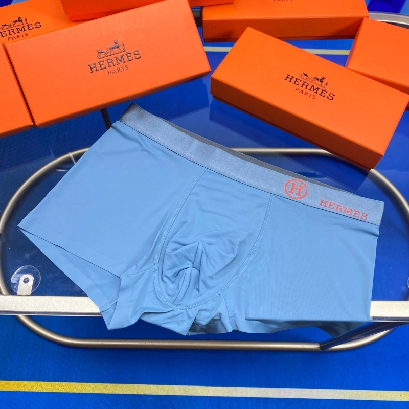 Exact replica Hermes Underwear