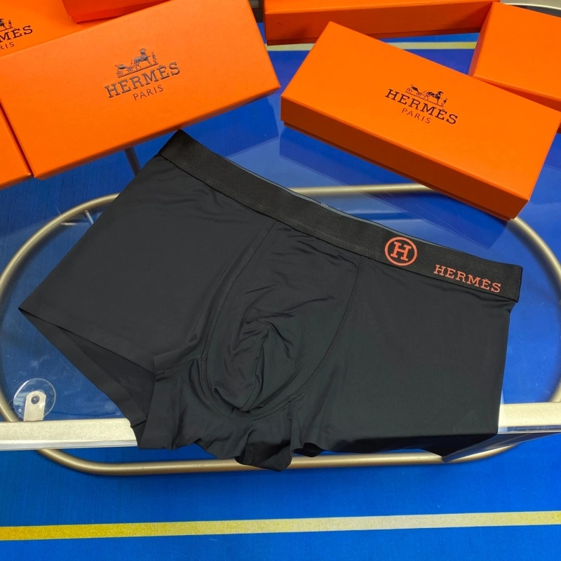 Exact replica Hermes Underwear