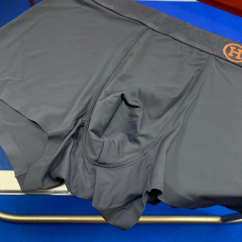 Exact replica Hermes Underwear