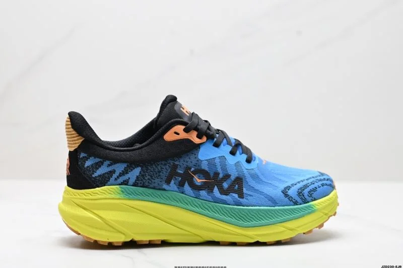 Hoka Shoes
