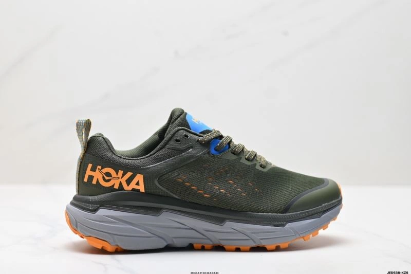 Hoka Shoes