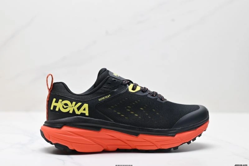 Hoka Shoes