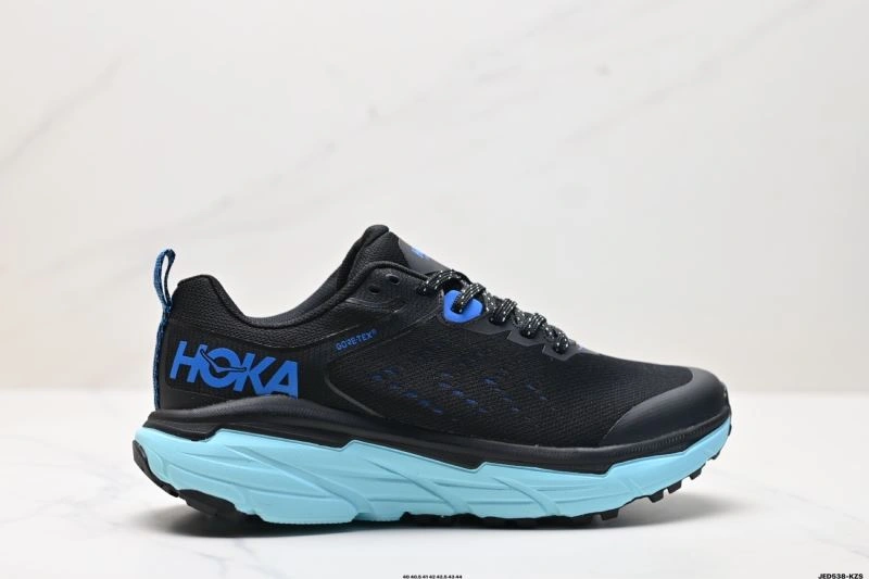 Hoka Shoes