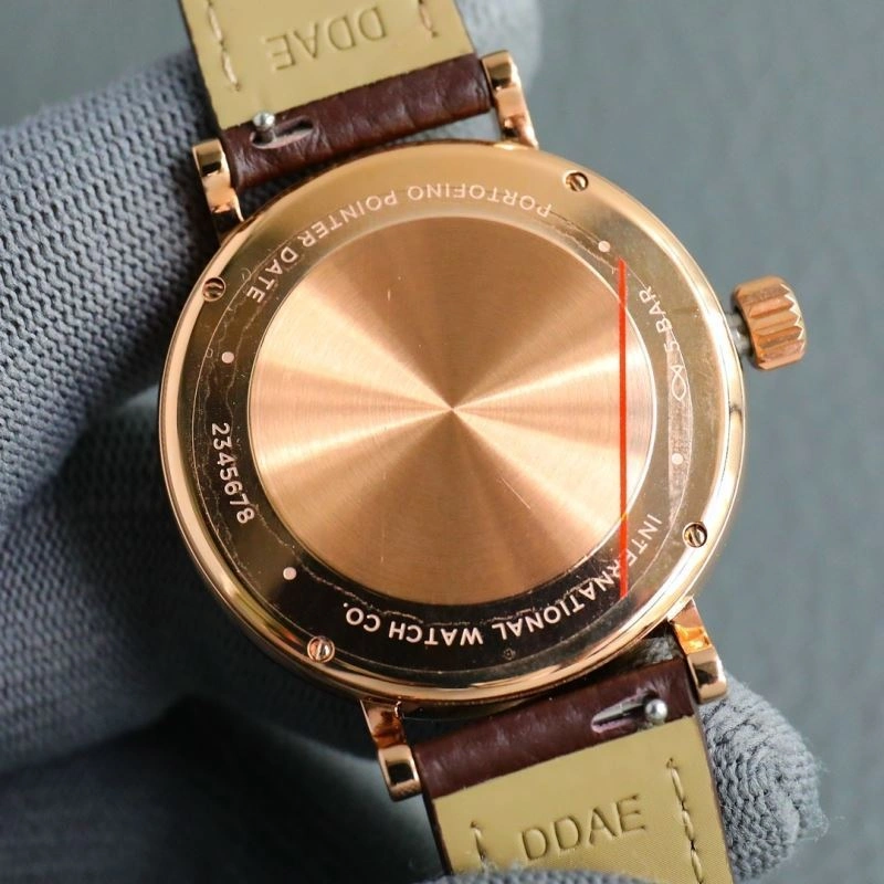 Inexpensive IWC Watches