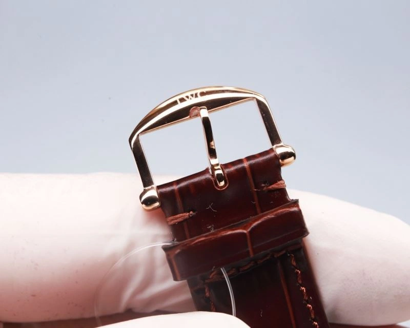 Budget-friendly IWC Watches