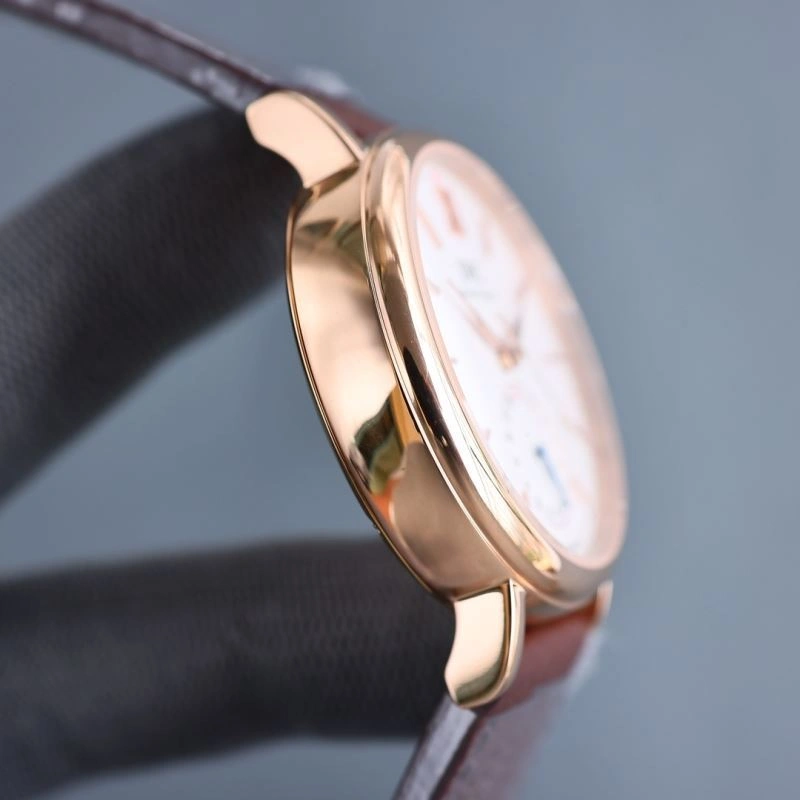 1:1 copy IWC Watches