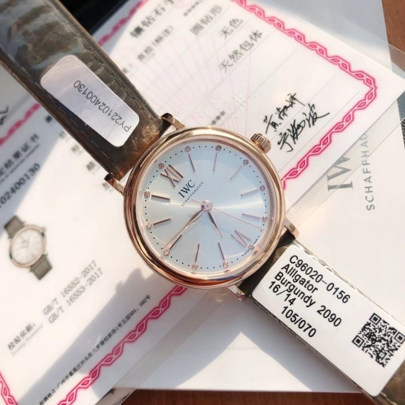 Reasonably priced IWC Watches