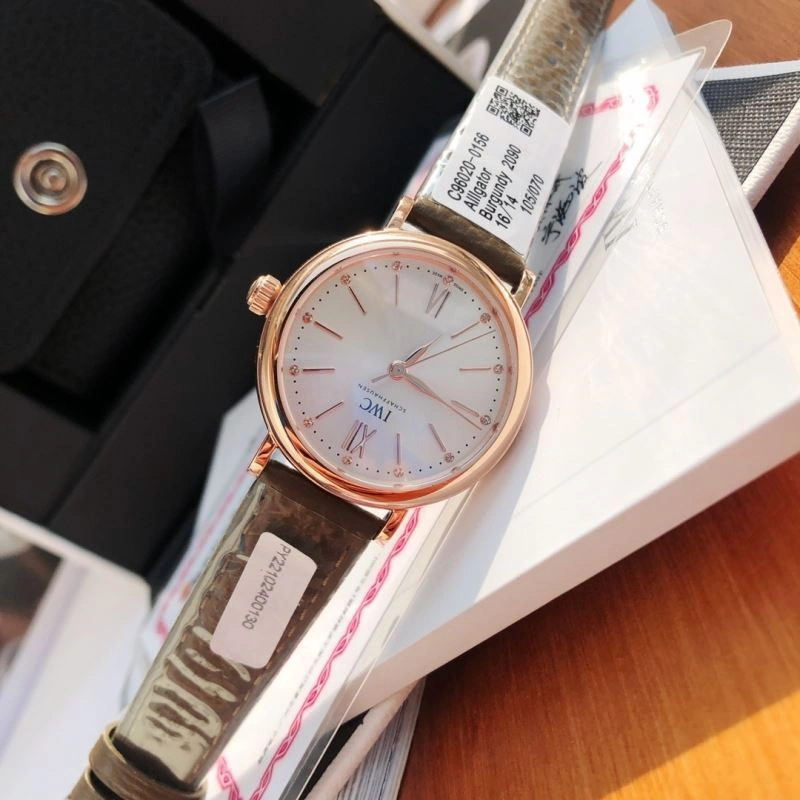 Reasonably priced IWC Watches