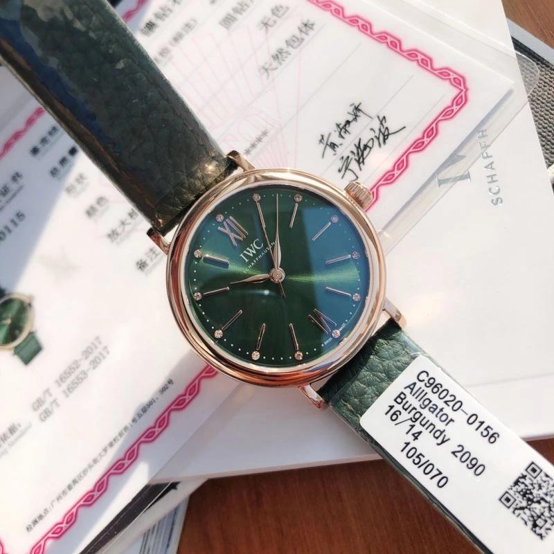 Top match IWC Watches