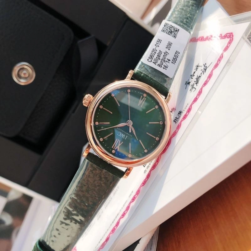 Top match IWC Watches