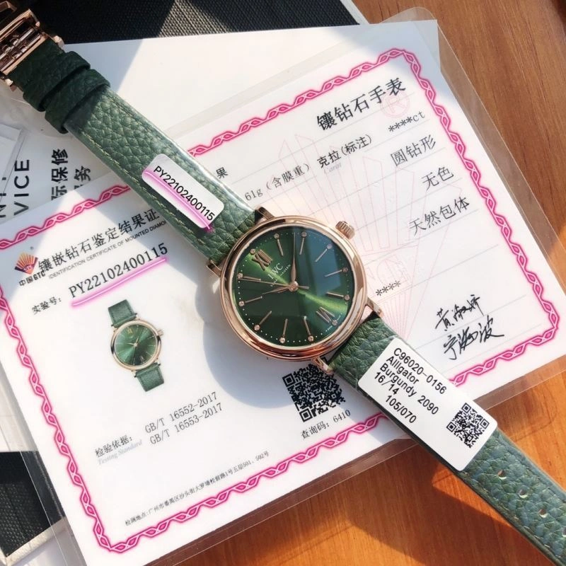 Top match IWC Watches