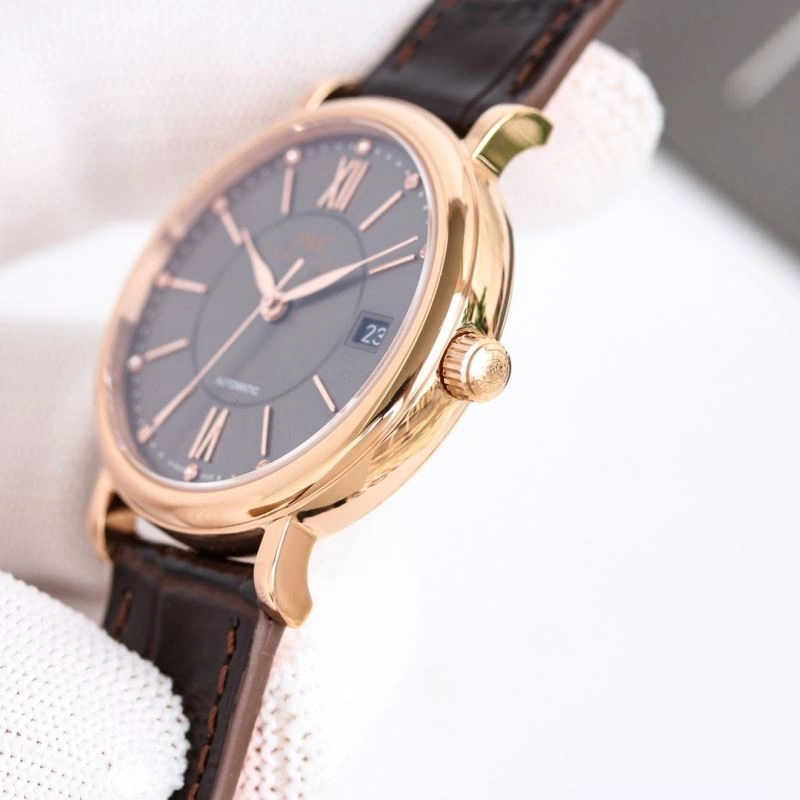 Reasonably priced IWC Watches