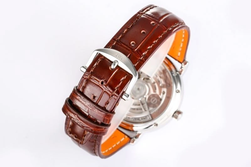 Indistinguishable IWC Watches