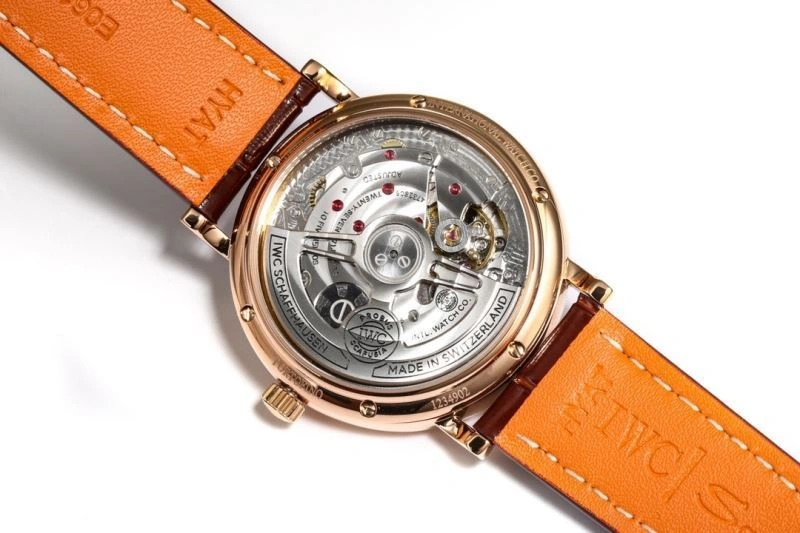 Top match IWC Watches