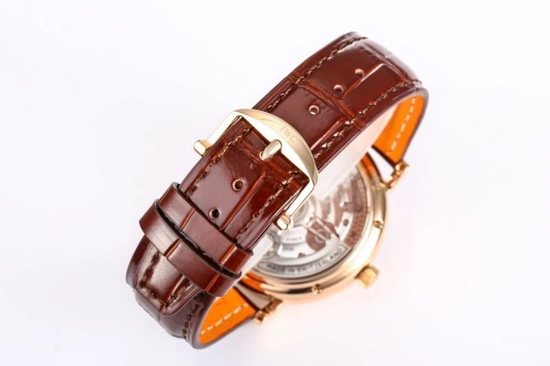 Top match IWC Watches