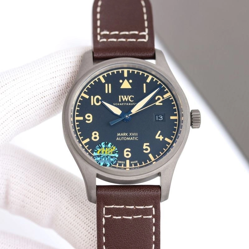 Affordable IWC Watches