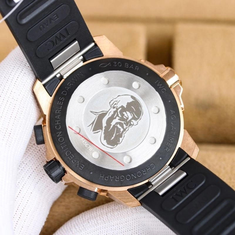 1:1 copy IWC Watches