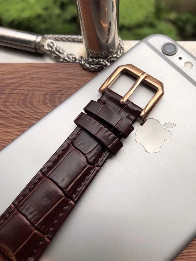 Precise copy IWC Watches
