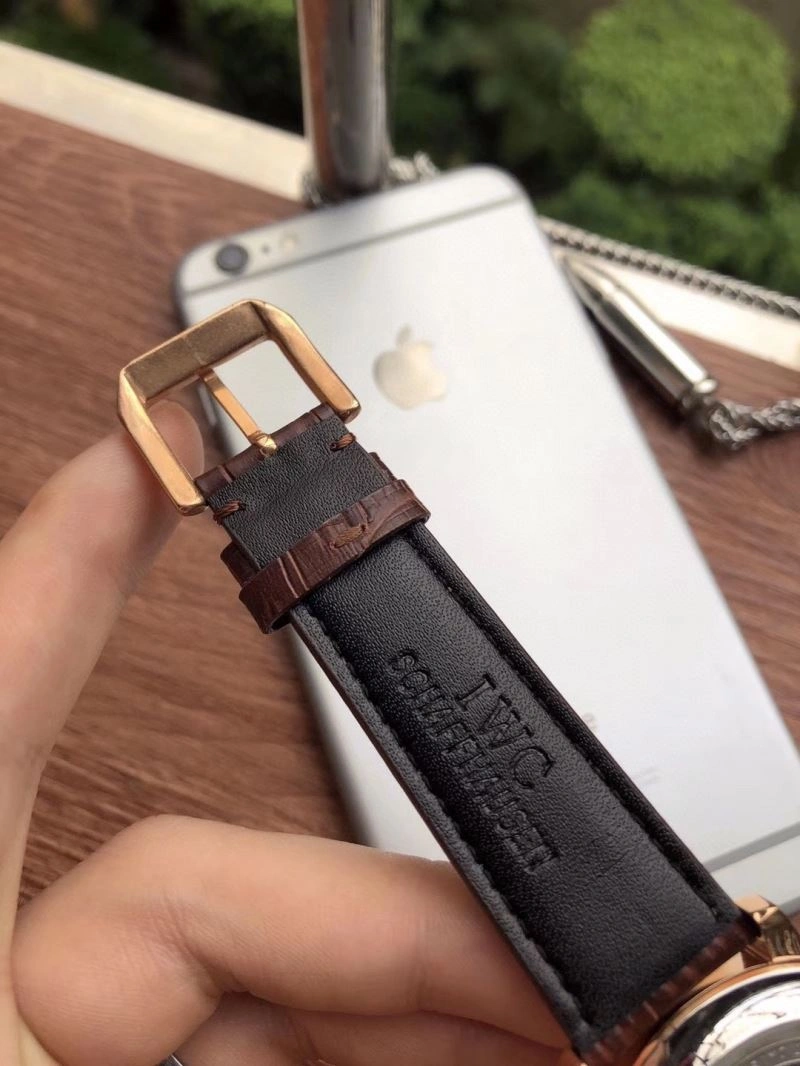 Discounted IWC Watches