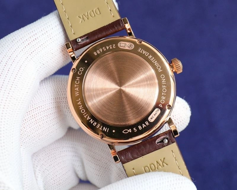 Discounted IWC Watches