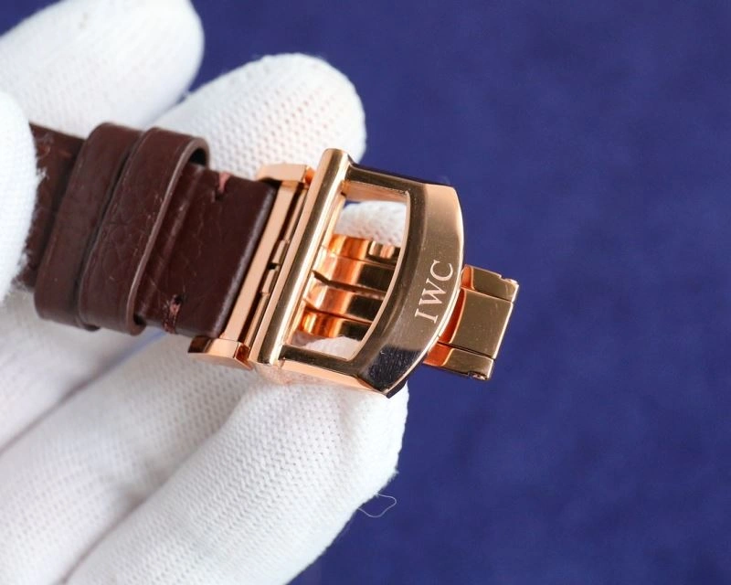 Discounted IWC Watches