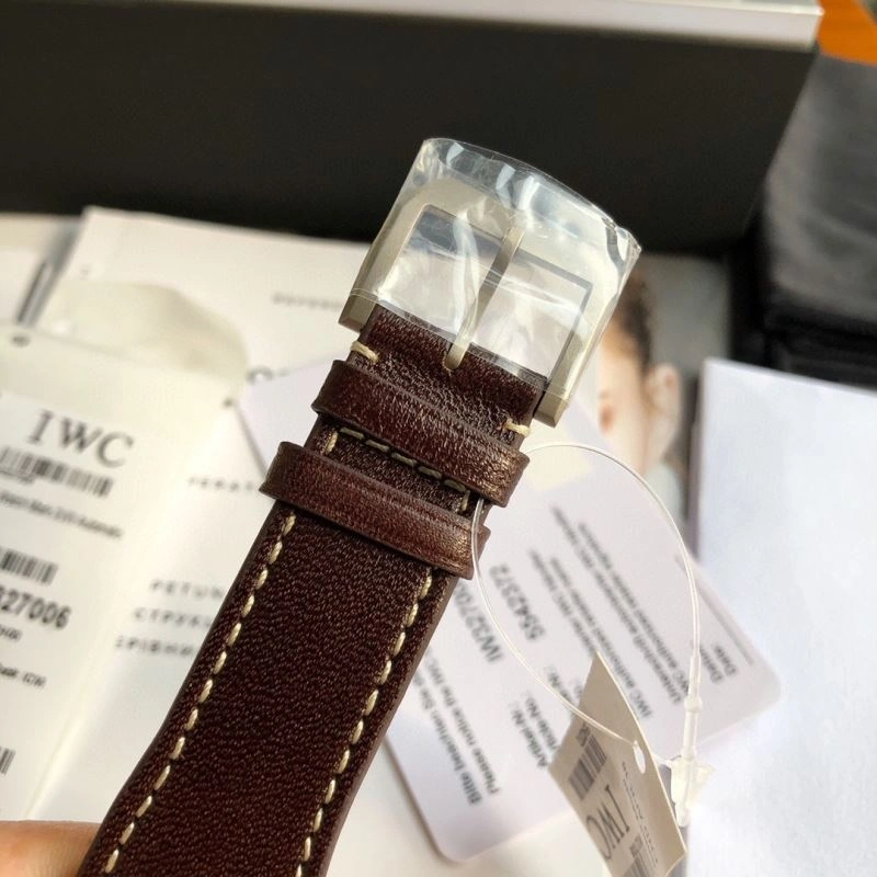 Top match IWC Watches