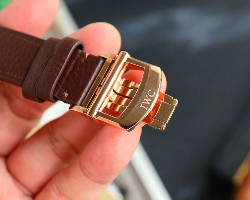 Indistinguishable IWC Watches